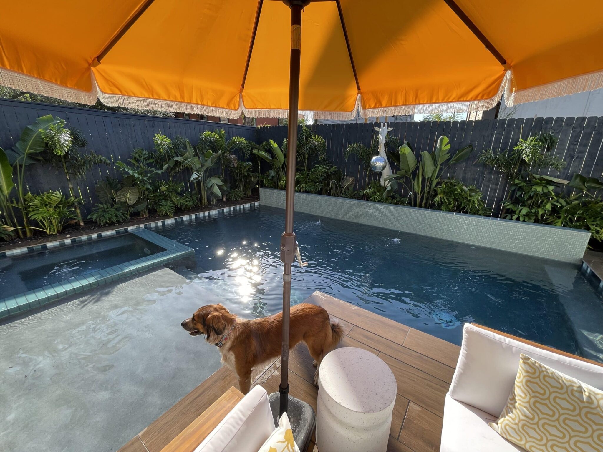 Worlds Largest Inground Pool Builder | Pinnacle Pools & Spas